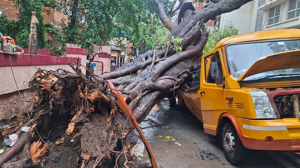 Mumbai Tragedy: 11-Year-Old Student Dies After Tree Crashes Onto School ...